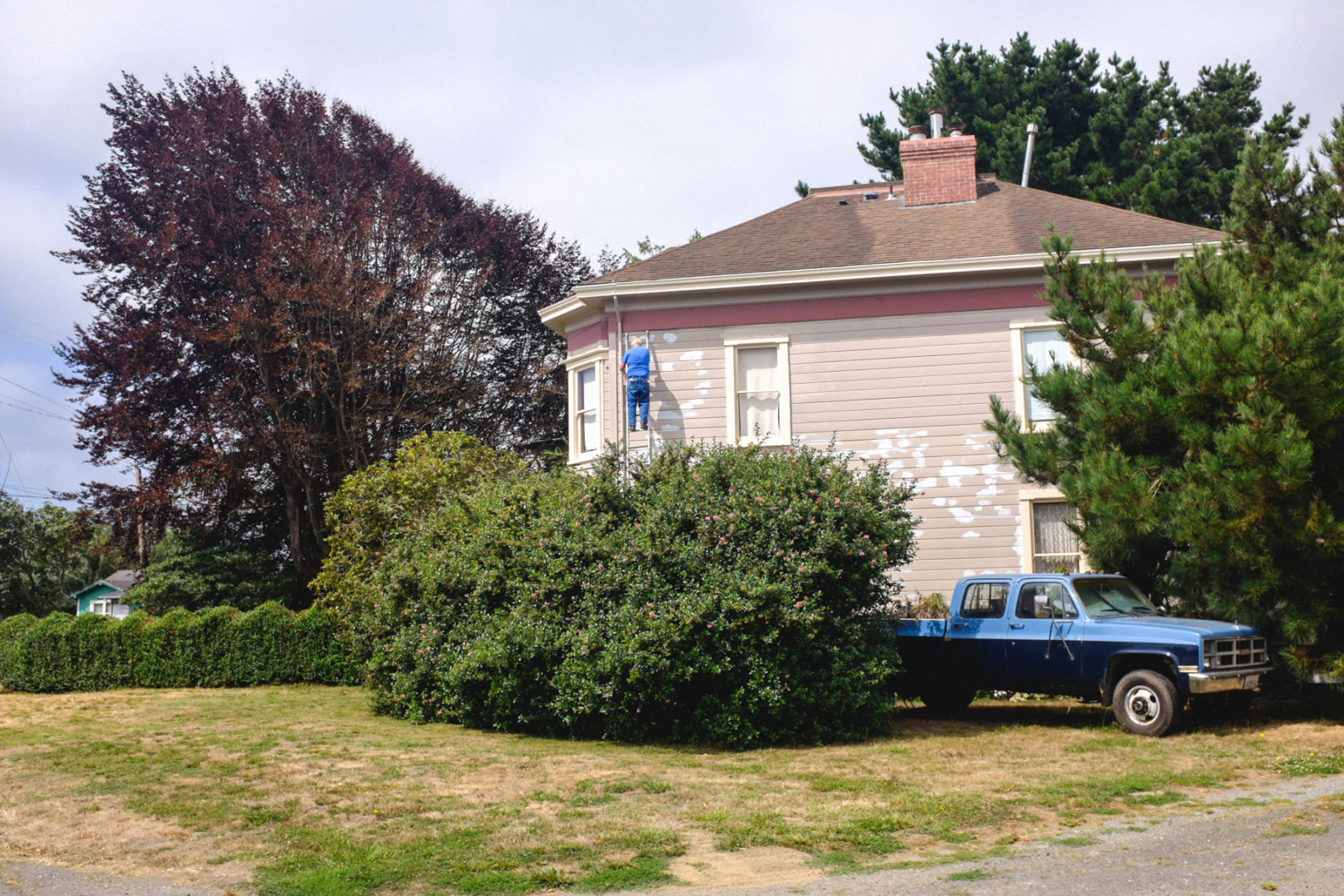 PC10: Eureka, CA — Humboldt Redwoods State Park, CA | blog.walker.kim